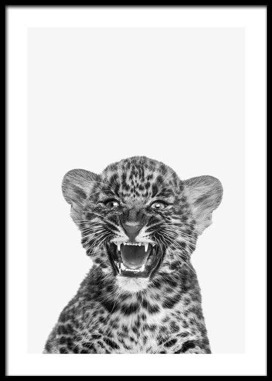 Baby Leopard Poster